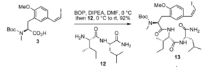 Acid-Amine Coupling using BOP – Organic Synthesis