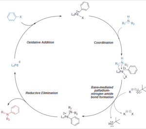 Buchwald-Hartwig Coupling – Organic Synthesis