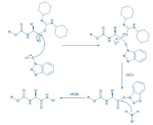 Acid-Amine Coupling using DCC – Organic Synthesis