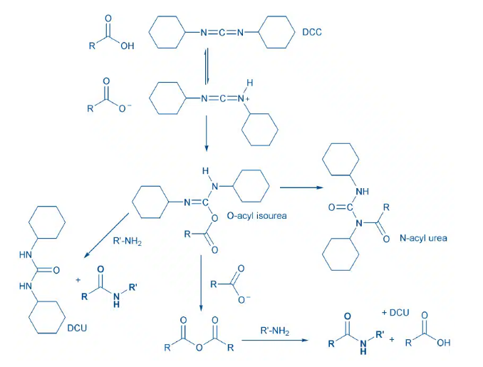 Acid Amine Coupling Using DCC Organic Synthesis Acid Amine Coupling Using DCC Organic Synthesis