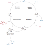 Suzuki-Miyaura Coupling – Organic Synthesis