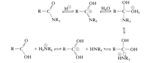 Hydrolysis of Amide – Organic Synthesis